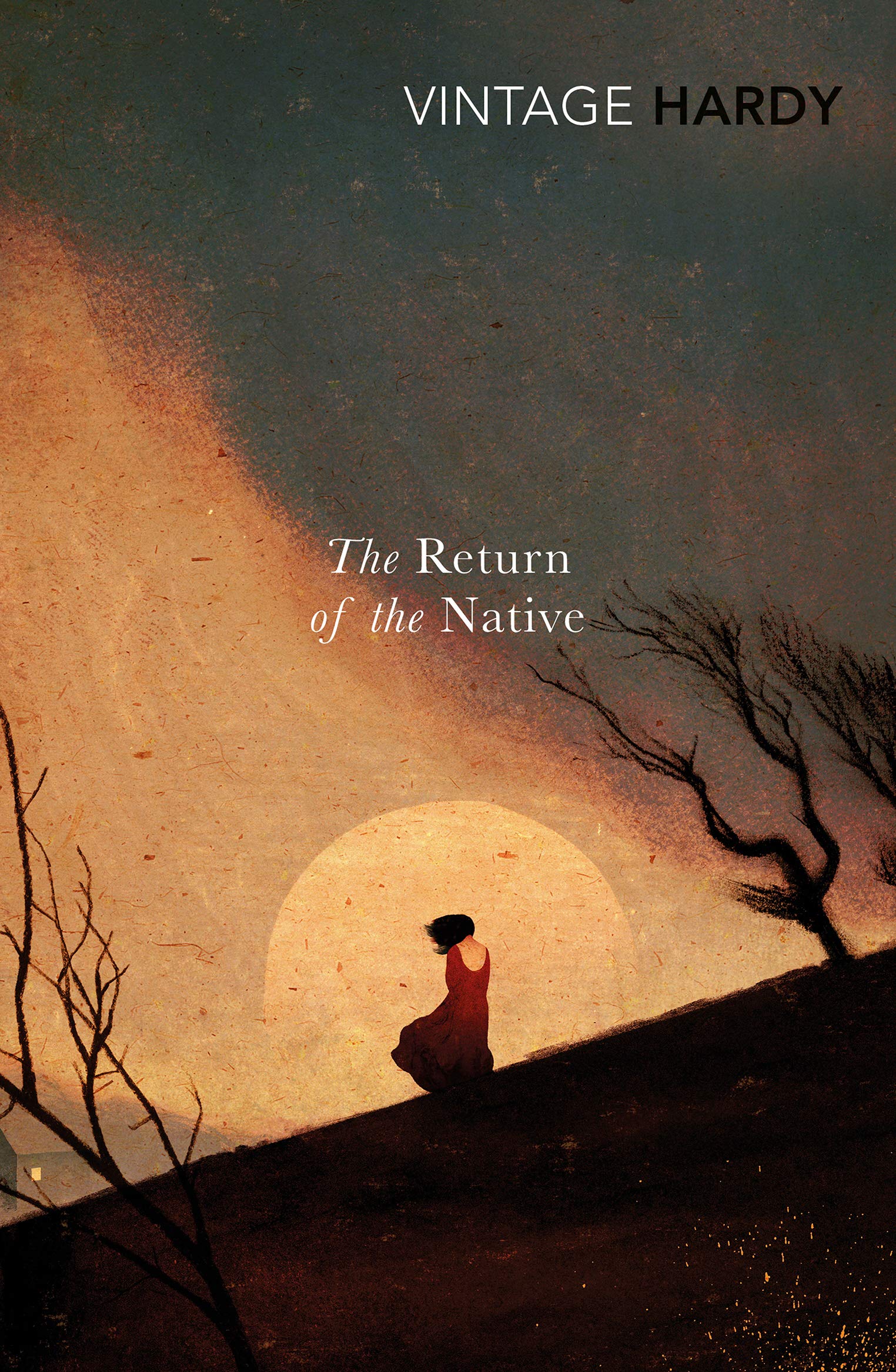 Buy The Return of the Native in Nepal | BIBLIONEPAL: Bookstore in Kathmandu