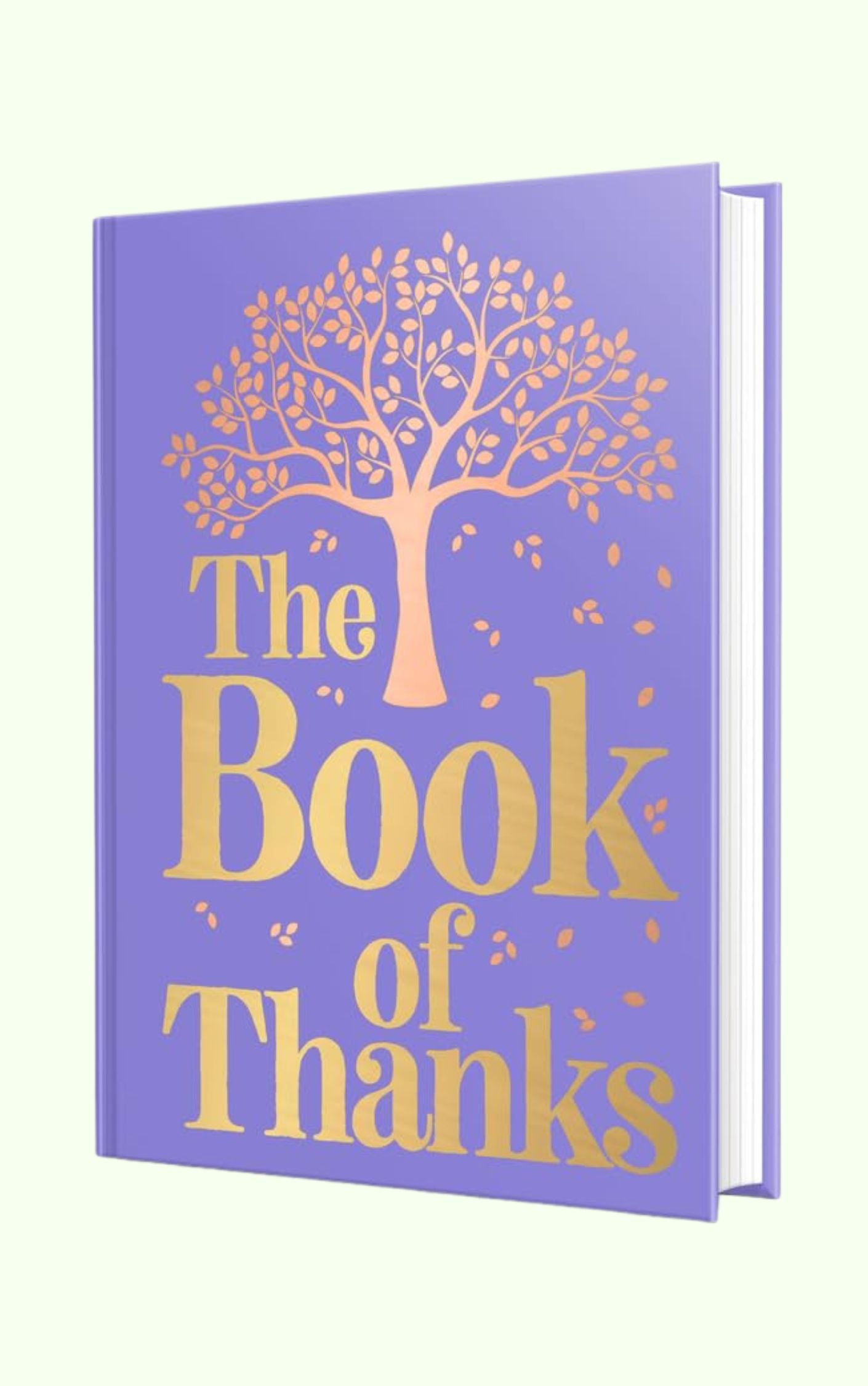 The Book of Thanks by FP | 9789358568448 – BIBLIONEPAL