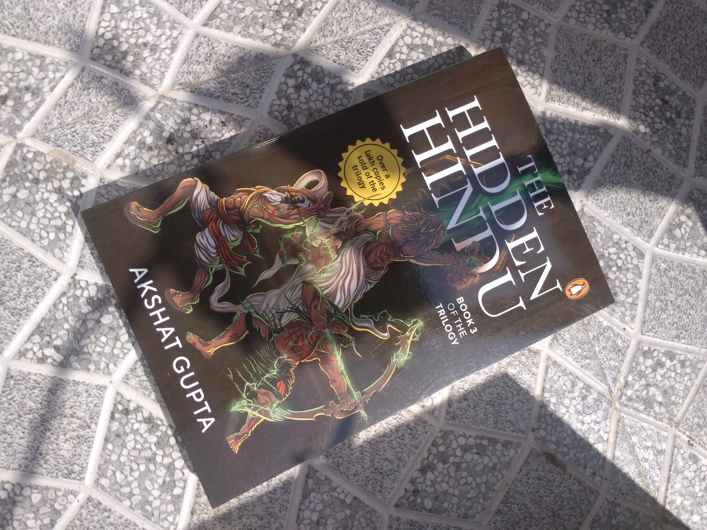 Buy The Hidden Hindu 3 in English and Hindi Language | BIBLIONEPAL